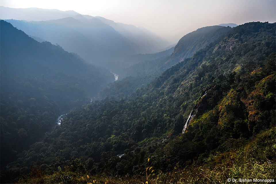 The Other Side of Coorg | JLR Explore