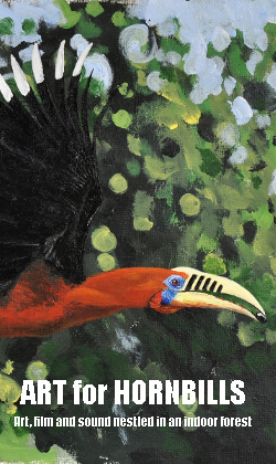 Art for Hornbills - JLR Explore