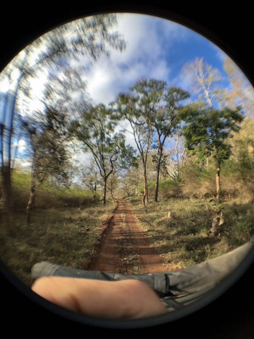 Safari!! - JLR Explore