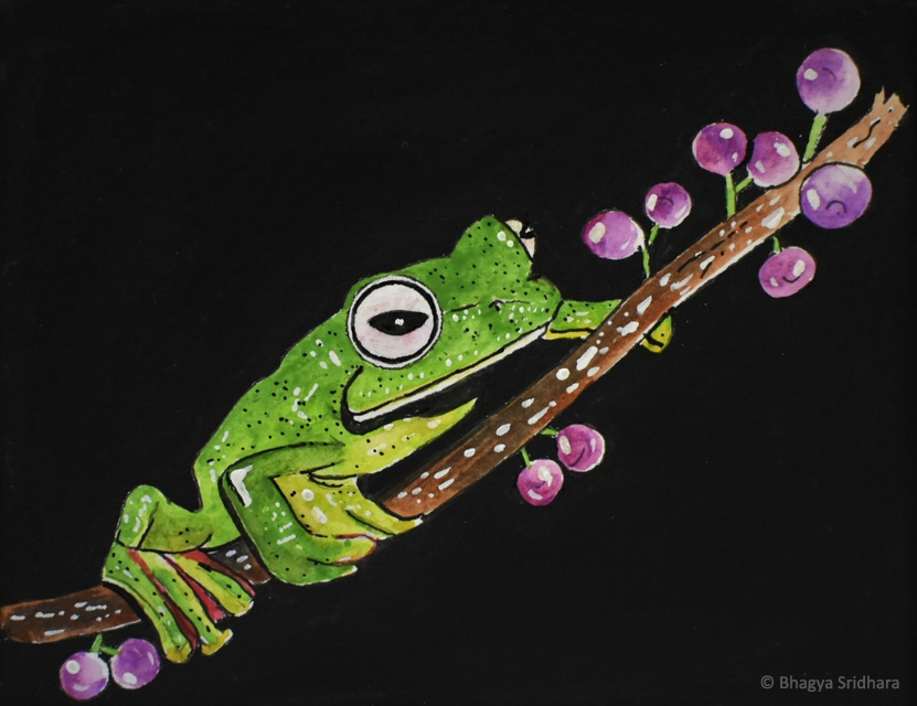 The Fascinating Nightlife of Malabar Gliding Frogs - JLR Explore