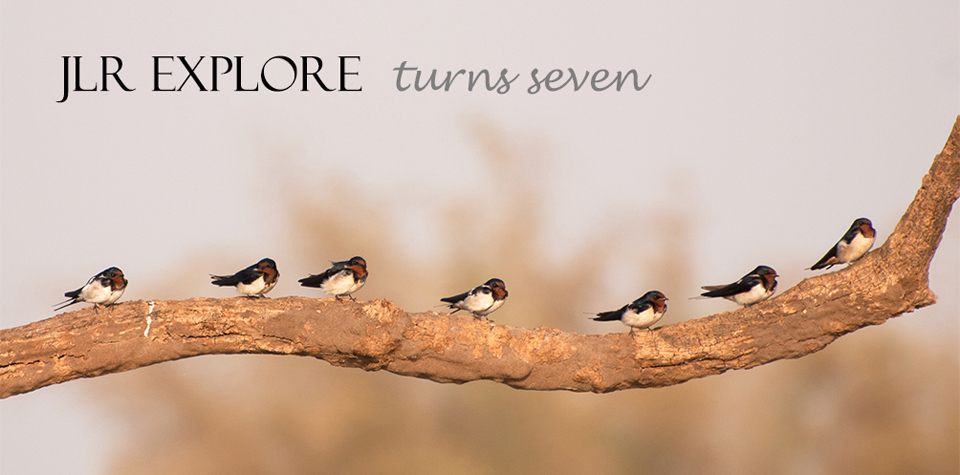 Seven Years of JLR Explore - JLR Explore