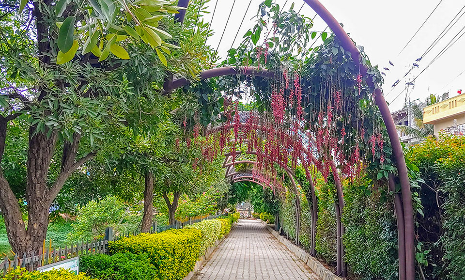 Usha Rajagopalan: bringing a lake back to life - JLR Explore