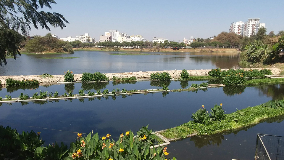 Usha Rajagopalan: bringing a lake back to life - JLR Explore