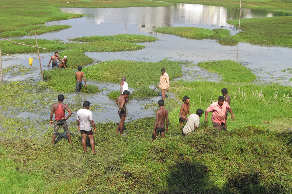 Usha Rajagopalan: bringing a lake back to life - JLR Explore