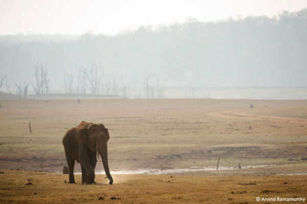 A Splash of Summer - JLR Explore
